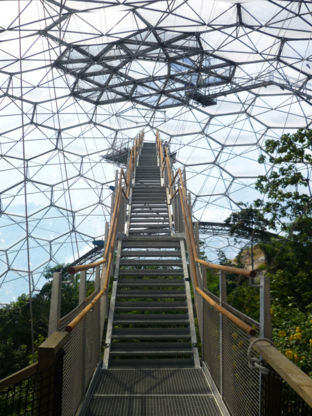 Eden Project Lookout – toby burgess design